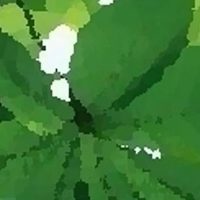 Jas 4 Christ – Journey of a Saint by the Grace of God